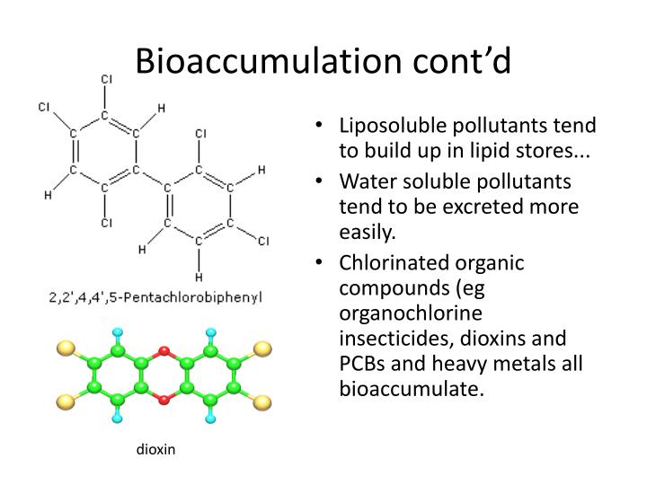 PPT - Bioaccumulation and Biomagnification PowerPoint Presentation - ID ...