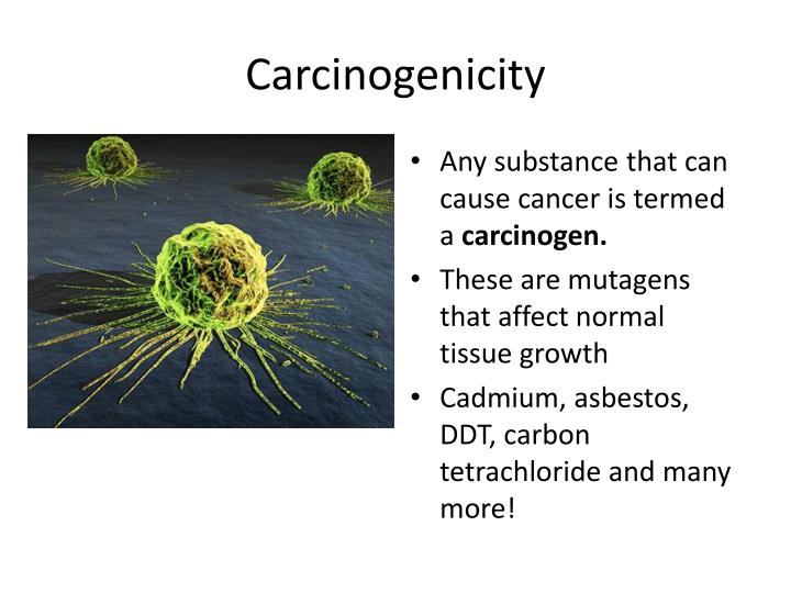 PPT - Bioaccumulation and Biomagnification PowerPoint Presentation - ID ...