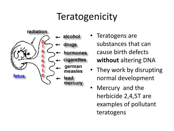 PPT - Bioaccumulation and Biomagnification PowerPoint Presentation - ID ...