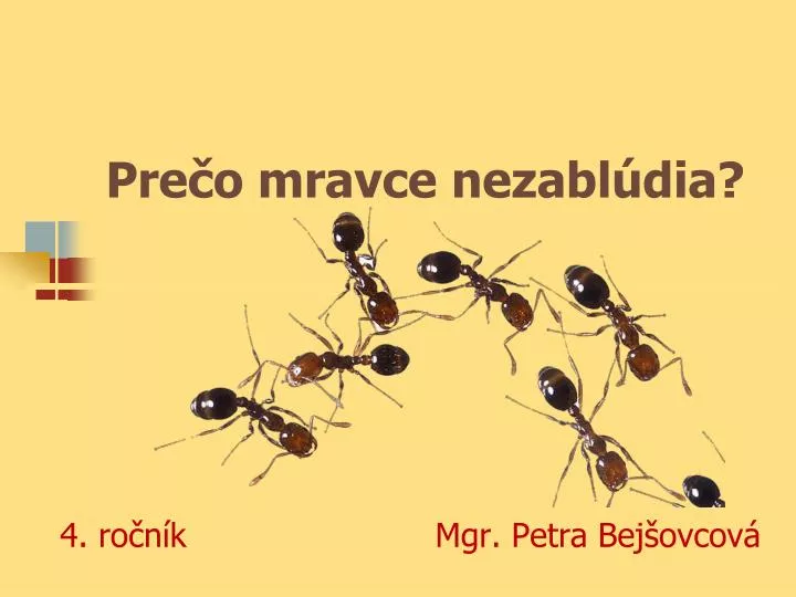 PPT - Prečo mravce nezablúdia? PowerPoint Presentation, free download ...