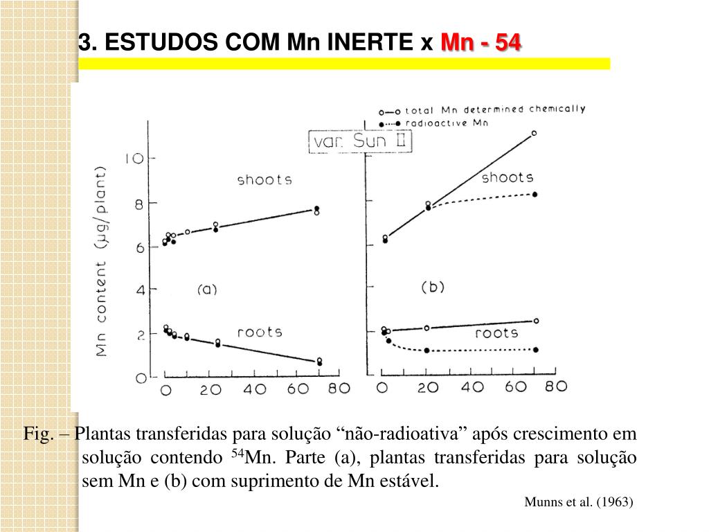 PPT - 54 Mn e 52 Mn em estudos de NMP PowerPoint Presentation, free ...