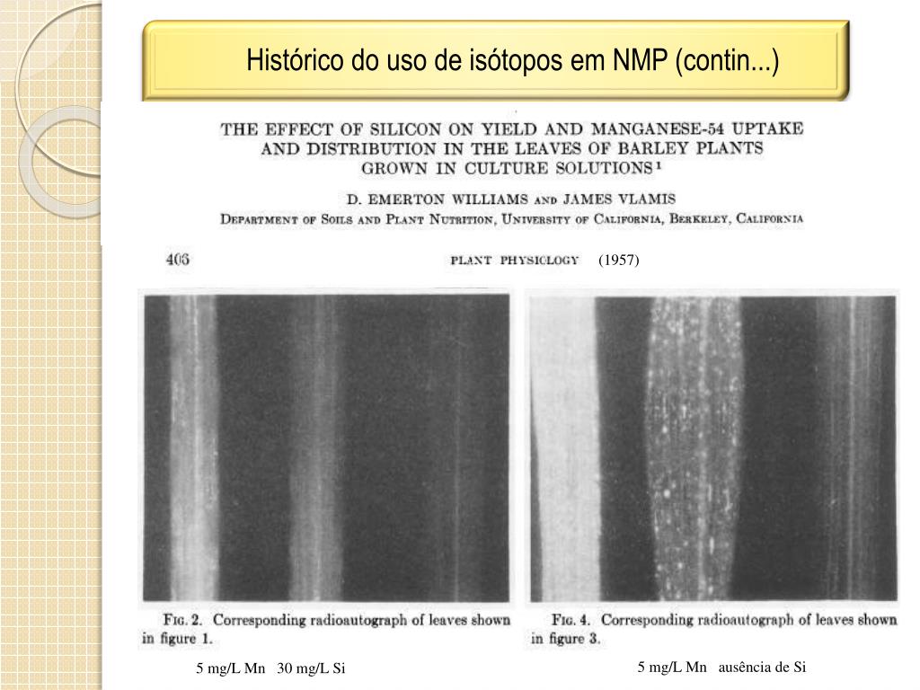 PPT - 54 Mn e 52 Mn em estudos de NMP PowerPoint Presentation, free ...