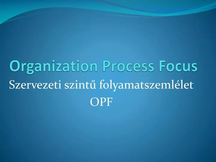 PPT - Organization Process Focus PowerPoint Presentation, free download ...