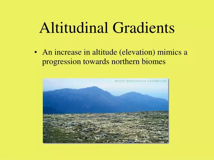 PPT - Altitudinal Gradients PowerPoint Presentation, free download - ID ...