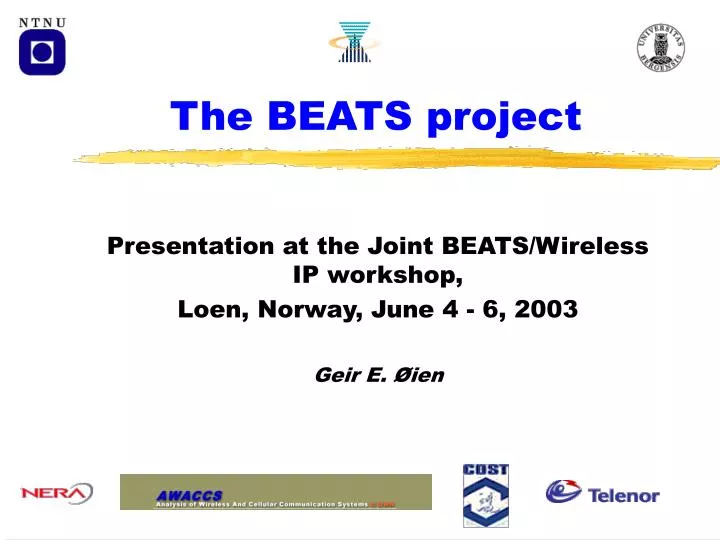 PPT - The BEATS project PowerPoint Presentation, free download - ID:4266806