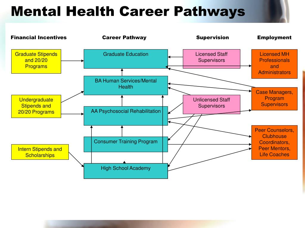 PPT - Mental Health Services Act Steering Committee Meeting PowerPoint ...
