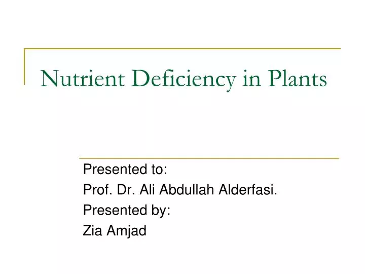 PPT - Nutrient Deficiency in Plants PowerPoint Presentation, free ...
