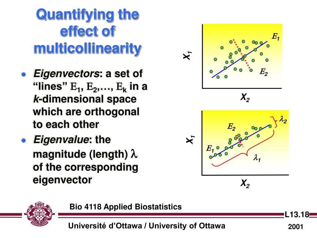 PPT Lecture 13 Multiple Linear Regression PowerPoint Presentation