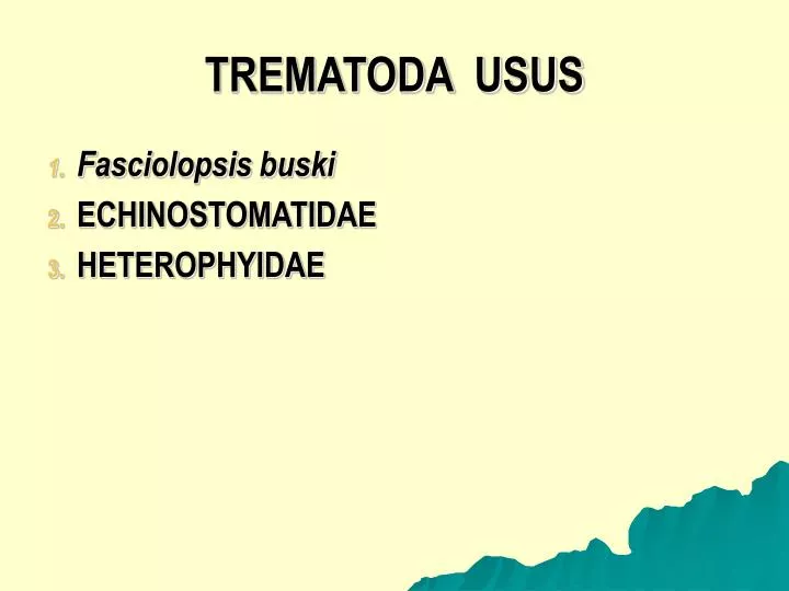 PPT - TREMATODA USUS PowerPoint Presentation, free download - ID:4270276