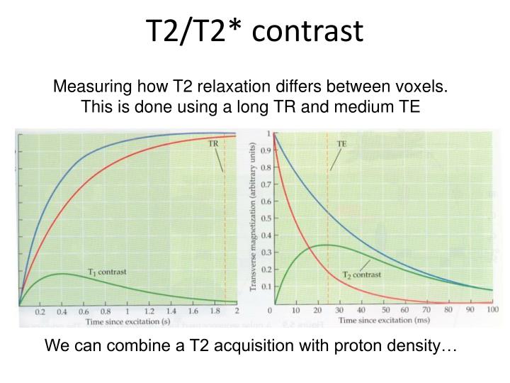 PPT - fMRI Methods Lecture2 – MRI Physics PowerPoint Presentation - ID ...