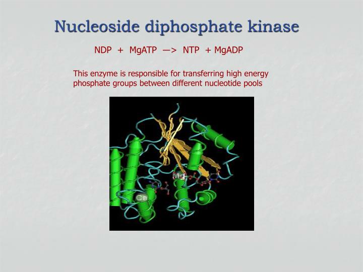 PPT - Metalloenzymes PowerPoint Presentation - ID:4270899