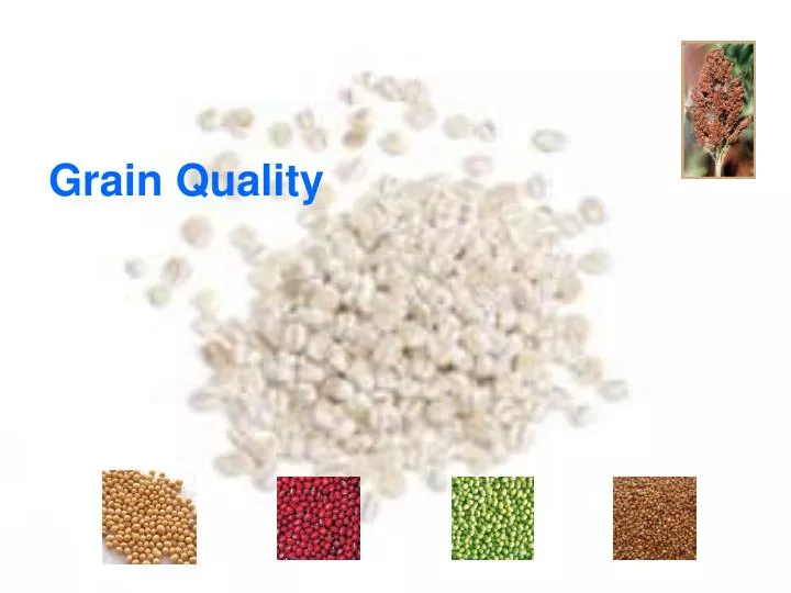 Coated Grains Springerlink