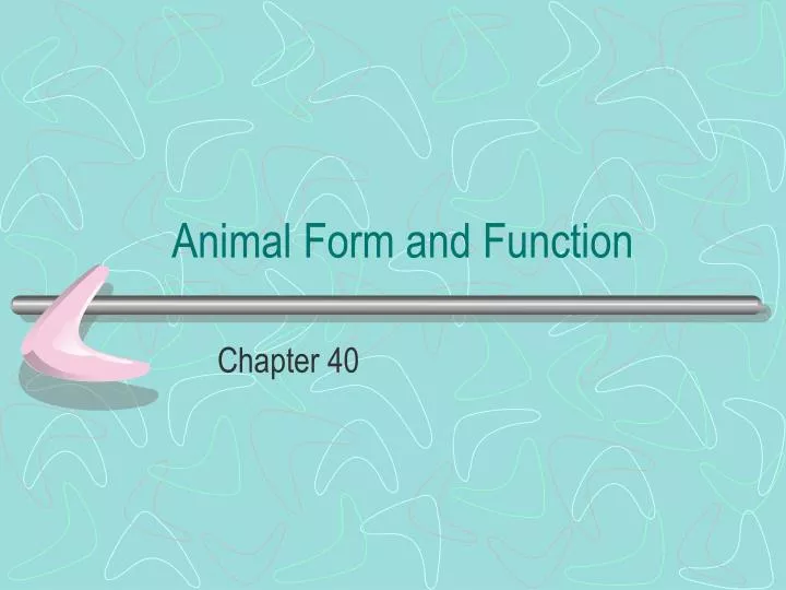 PPT - Animal Form and Function PowerPoint Presentation, free download ...