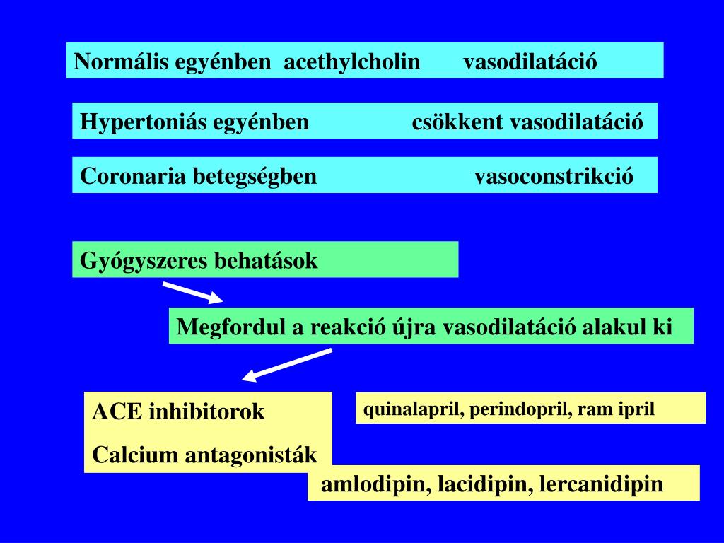 PPT - Kalciumantagonistával az atherosclerosis ellen PowerPoint ...