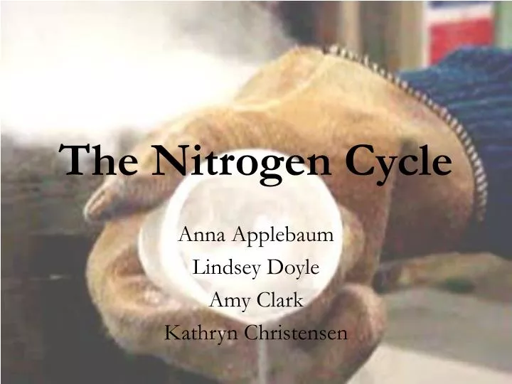 PPT - The Nitrogen Cycle PowerPoint Presentation, free download - ID ...