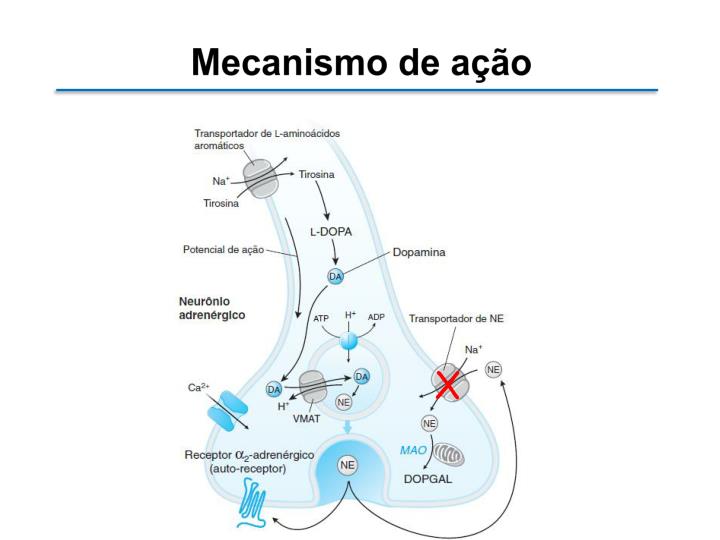 PPT - ANTIDEPRESSIVOS PowerPoint Presentation - ID:4274308