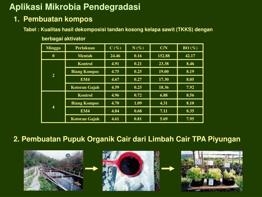 Ppt Pemanfaatan Energi Biomassa Sebagai Biofuel Konsep Sinergi