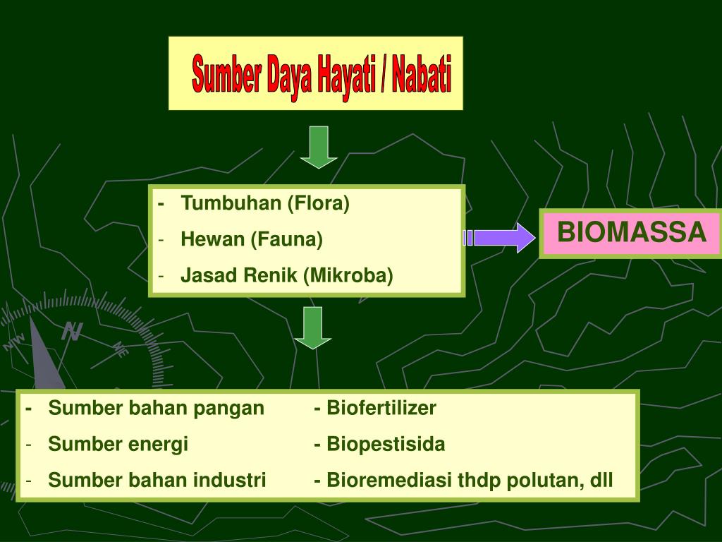 Ppt Pemanfaatan Energi Biomassa Sebagai Biofuel Konsep Sinergi
