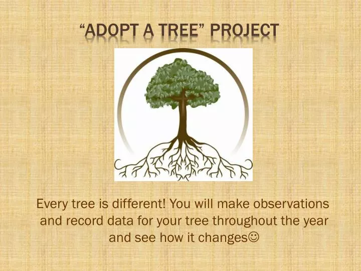 PPT - “Adopt A Tree” Project PowerPoint Presentation, free download ...