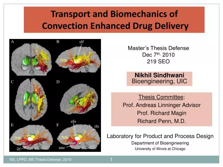 PPT - Transport and Biomechanics of Convection Enhanced Drug Delivery ...