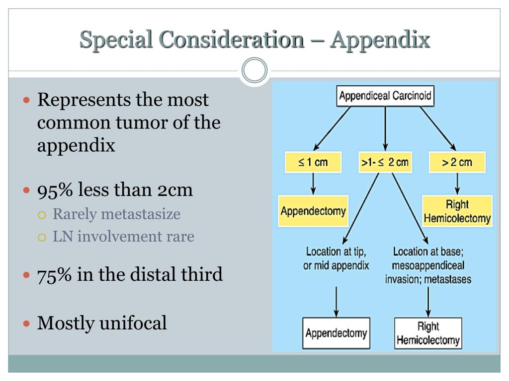 PPT - Diagnosis & Surgical Management of Carcinoid Tumors PowerPoint ...