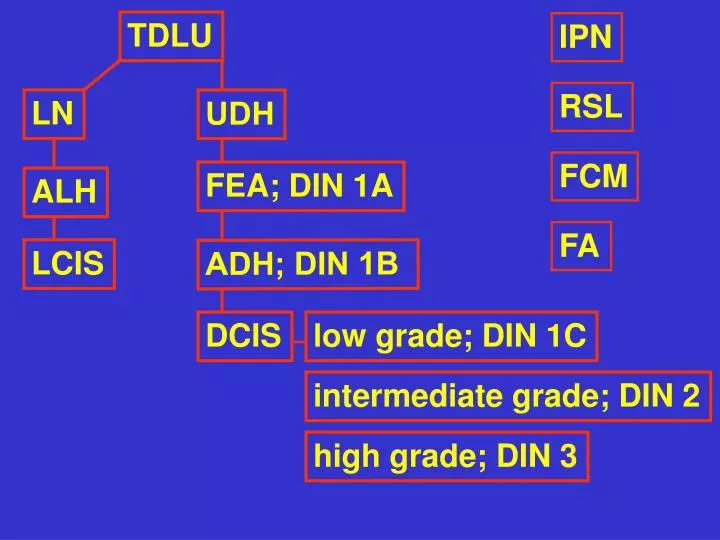 PPT - UDH PowerPoint Presentation, free download - ID:4276198