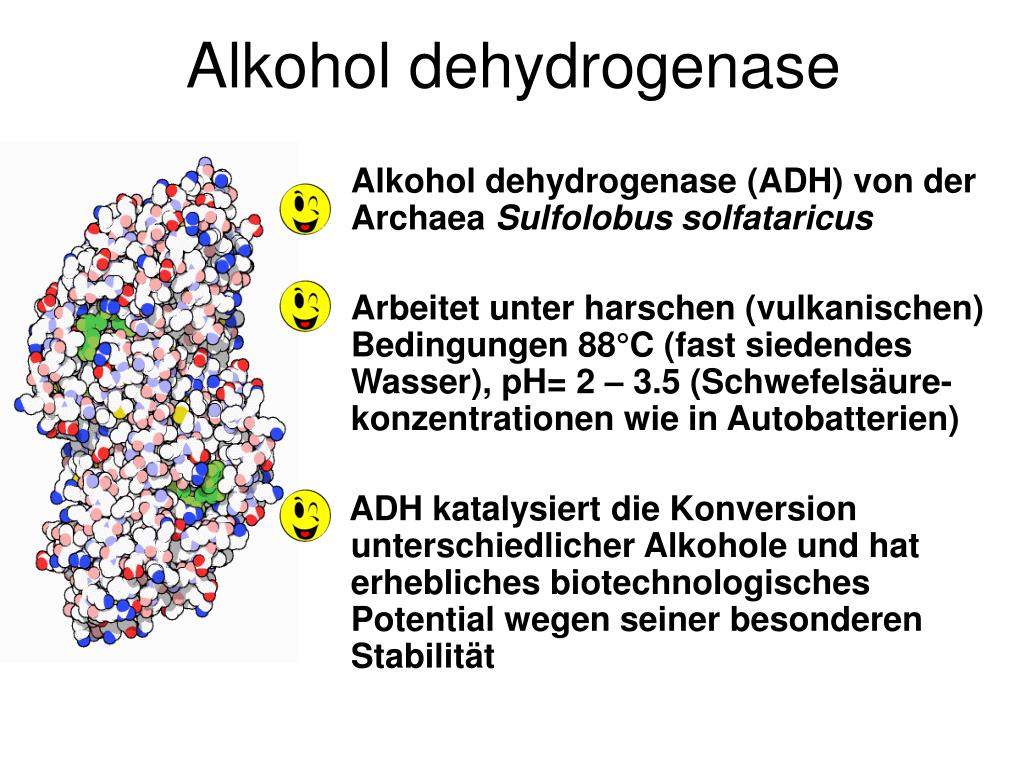 PPT - 01.11.10 – Extremophile Mikroorganismen – interessante ...
