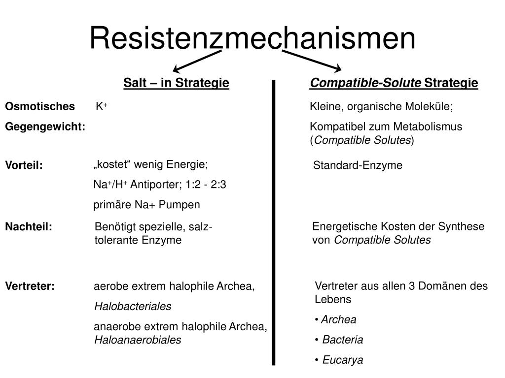PPT - 01.11.10 – Extremophile Mikroorganismen – interessante ...