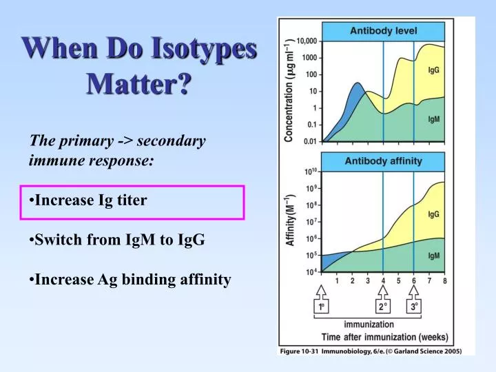 PPT - When Do Isotypes Matter? PowerPoint Presentation, free download ...