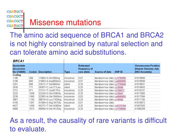 PPT - Mutations in the BRCA1 and BRCA2 breast cancer susceptibility ...