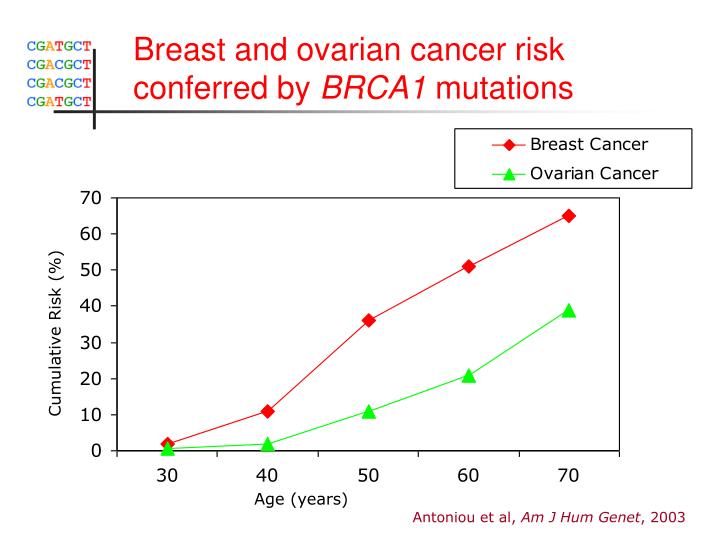 Ppt Mutations In The Brca1 And Brca2 Breast Cancer Susceptibility