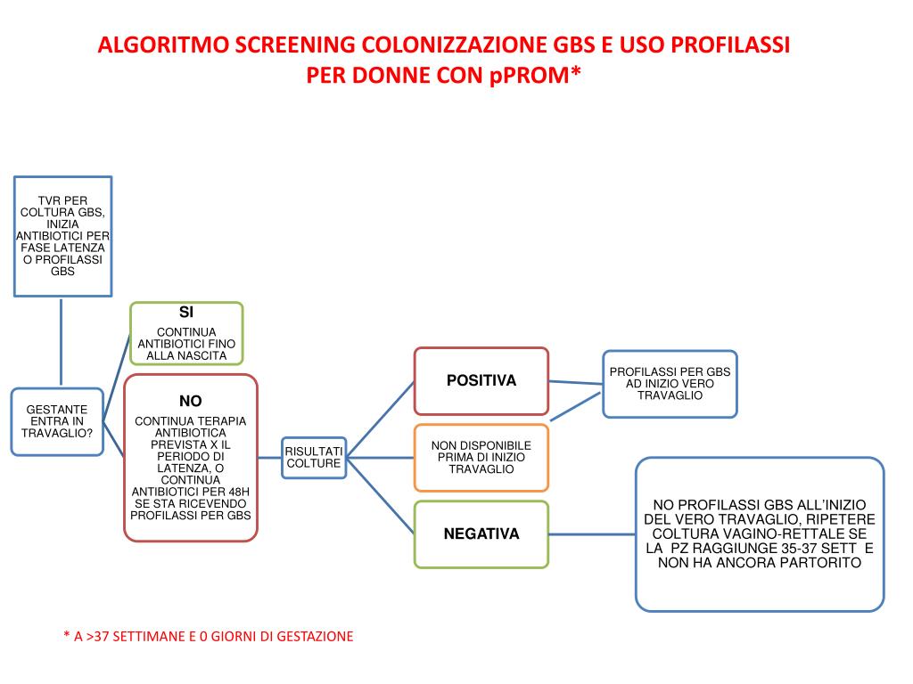 PPT - PREVENZIONE DELLE INFEZIONI DA STREPTOCOCCO β EMOLITICO DI GRUPPO ...