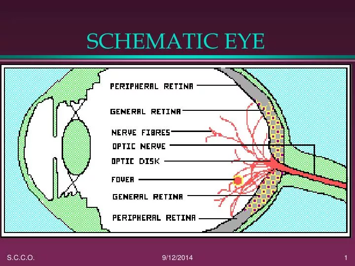PPT - SCHEMATIC EYE PowerPoint Presentation, free download - ID:4278693