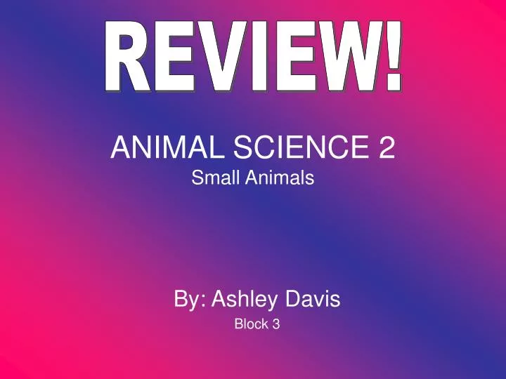 PPT - ANIMAL SCIENCE 2 Small Animals PowerPoint Presentation, free ...