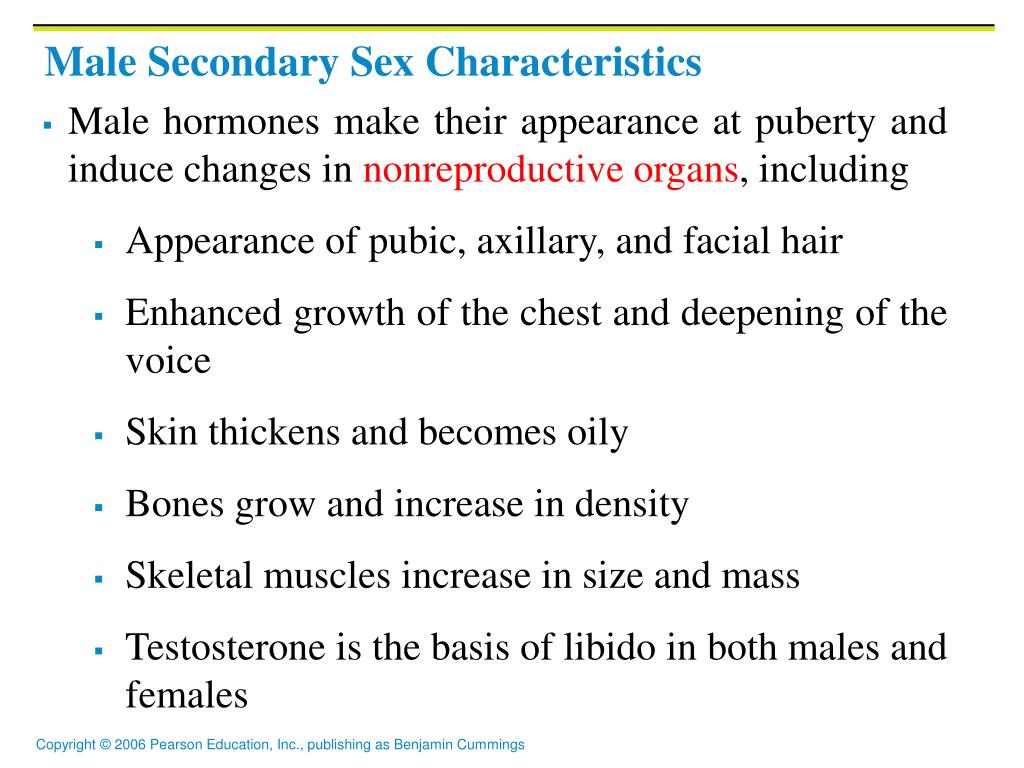 Ppt Reproductive System Powerpoint Presentation Free Download Id4280090