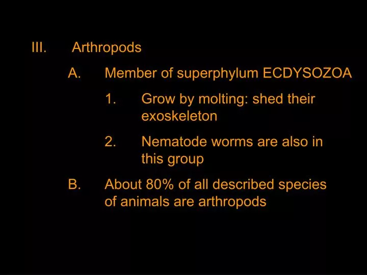 PPT - III. Arthropods A. Member of superphylum ECDYSOZOA PowerPoint ...