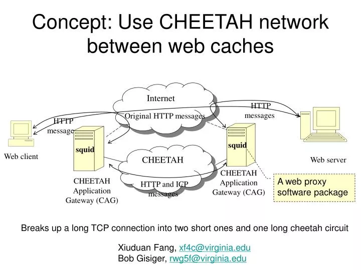 PPT - Concept: Use CHEETAH network between web caches PowerPoint ...
