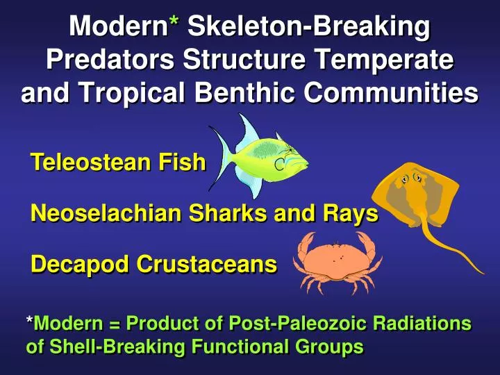 PPT - Modern * Skeleton-Breaking Predators Structure Temperate and ...
