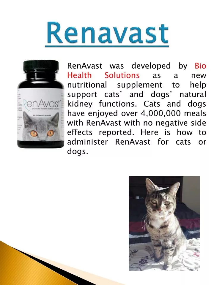 PPT - Renavast PowerPoint Presentation, free download - ID:4283317