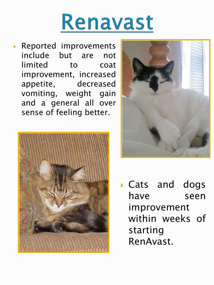 PPT - Renavast PowerPoint Presentation - ID:4283317