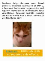 PPT - Renavast PowerPoint Presentation - ID:4283317