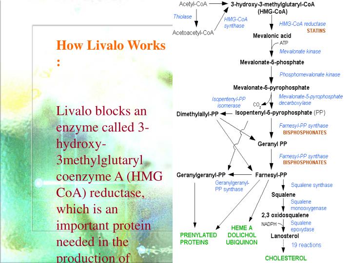PPT - Livalo (Pitavastatin) PowerPoint Presentation - ID:4284694
