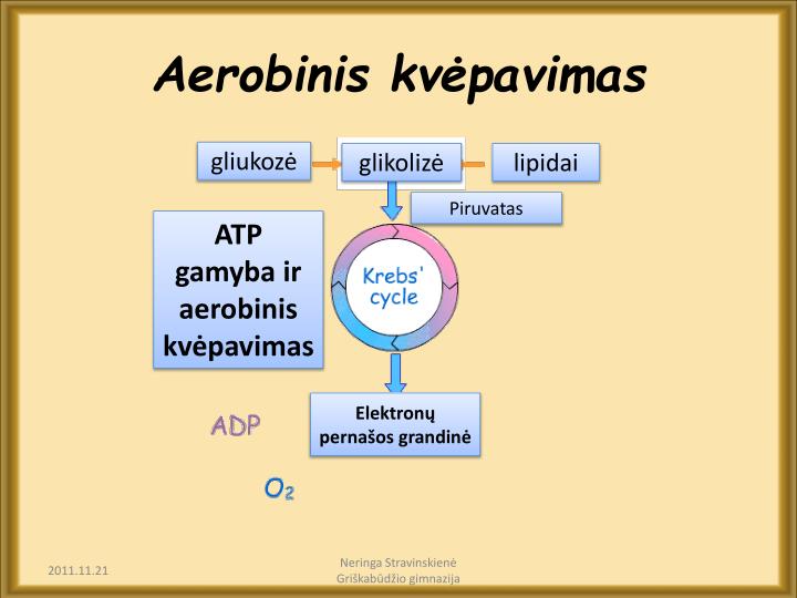 PPT - G.Williams ,, Biologija tau“ II dalis Sylvia S.Mader Biologija I ...