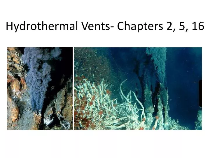 Hydrothermal Vent Model