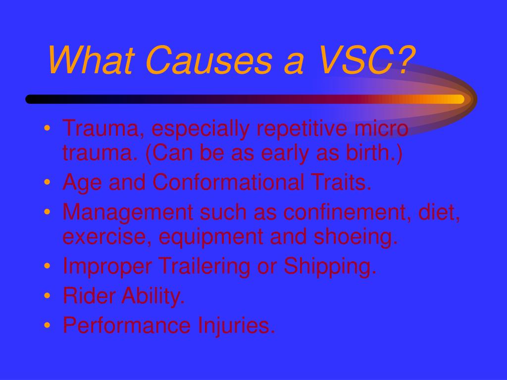 PPT - Animal Chiropractic PowerPoint Presentation, free download - ID ...