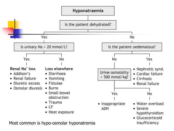 PPT - Case 1- M.H. (Chico State U., California) PowerPoint Presentation ...