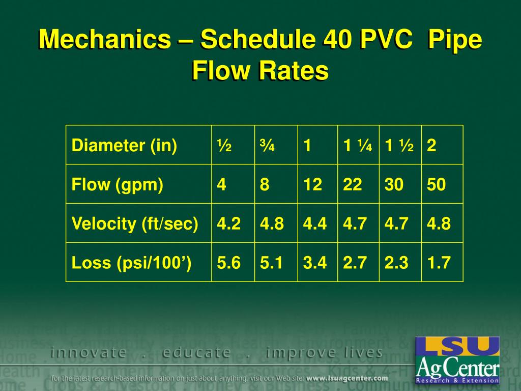 PPT - Louisiana Yards and Neighborhoods PowerPoint Presentation, free ...