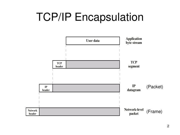 PPT - OSI and TCP/IP Models PowerPoint Presentation - ID:4286669