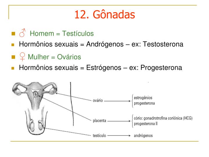 PPT - Fisiologia Hormonal Humana PowerPoint Presentation - ID:4290567