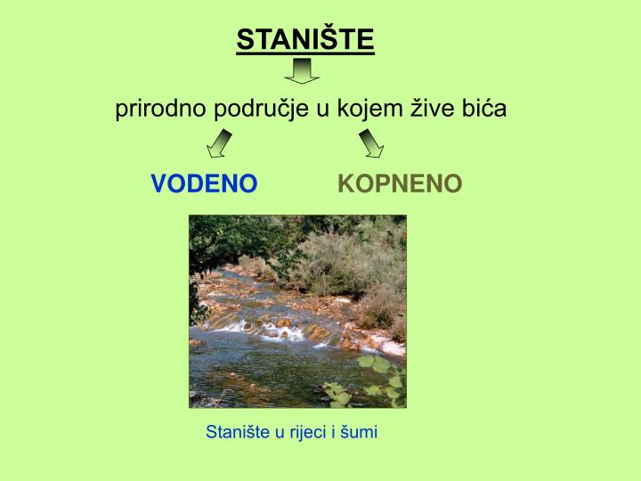 PPT - ŽIVA BIĆA I STANIŠTE PowerPoint Presentation - ID:4290978